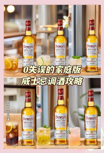 威士忌兑什么饮料好喝_威士忌兑饮料推荐-第3张图片-山城妙识