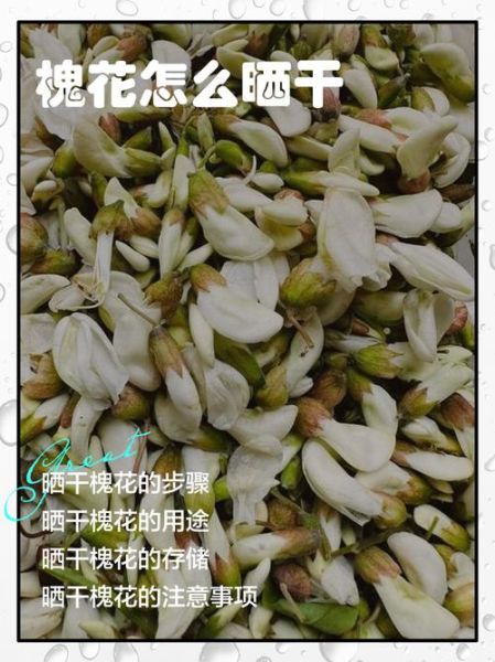 晒干的槐花怎么做好吃_晒干的槐花做法大全-第2张图片-山城妙识
