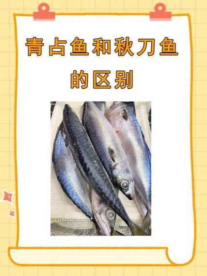 青竹鱼和军鱼的区别_如何快速分辨两种鱼-第2张图片-山城妙识