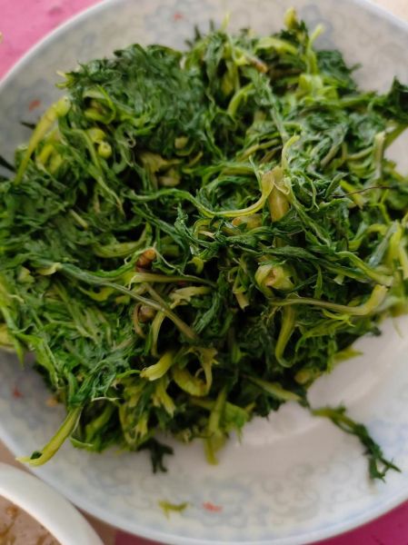 柳蒿芽炒鸡蛋怎么做_柳蒿芽炒鸡蛋需要焯水吗-第3张图片-山城妙识