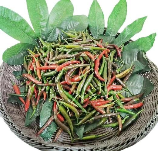 自制泡椒小米椒的做法_泡椒小米椒怎么保存-第1张图片-山城妙识