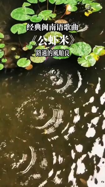 公虾米闽南歌叫什么_闽南语神曲原名揭秘-第2张图片-山城妙识