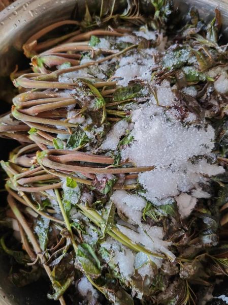 腌制香椿芽的做法_香椿芽怎么保存一年-第1张图片-山城妙识