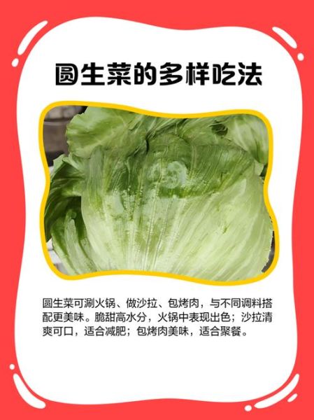 素炒圆生菜怎么炒才脆_素炒圆生菜的家常做法-第1张图片-山城妙识
