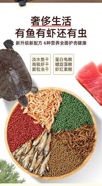 乌龟可以吃什么肉_哪些肉类对乌龟最安全-第3张图片-山城妙识