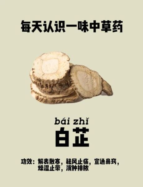 白芷的功效与作用_白芷能美白吗-第1张图片-山城妙识 白芷的功效与作用_白芷能美白吗-第1张图片-山城妙识