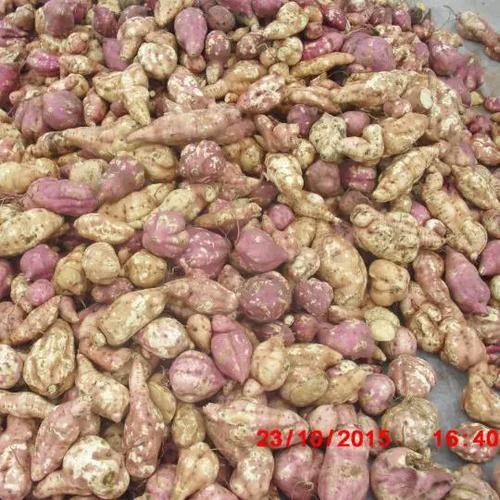 红薯粉条多少钱一斤_正宗红薯粉条价格行情-第3张图片-山城妙识