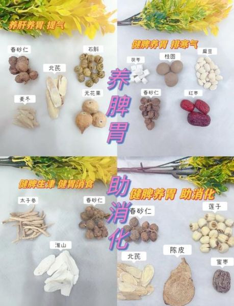 春砂仁怎么吃养胃_春砂仁对胃最好的食用方法-第1张图片-山城妙识