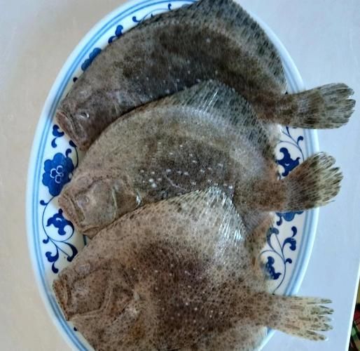 多宝鱼的皮一定要撕吗_不撕皮能不能吃-第2张图片-山城妙识