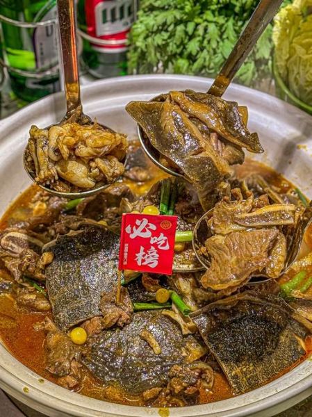 土鳖吃什么食物_土鳖最爱吃什么-第1张图片-山城妙识 土鳖吃什么食物_土鳖最爱吃什么-第1张图片-山城妙识