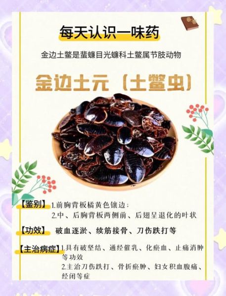 土鳖吃什么食物_土鳖最爱吃什么-第3张图片-山城妙识 土鳖吃什么食物_土鳖最爱吃什么-第3张图片-山城妙识