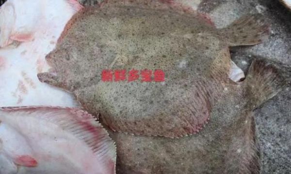 多宝鱼怎么去鳞_多宝鱼如何清理内脏-第2张图片-山城妙识