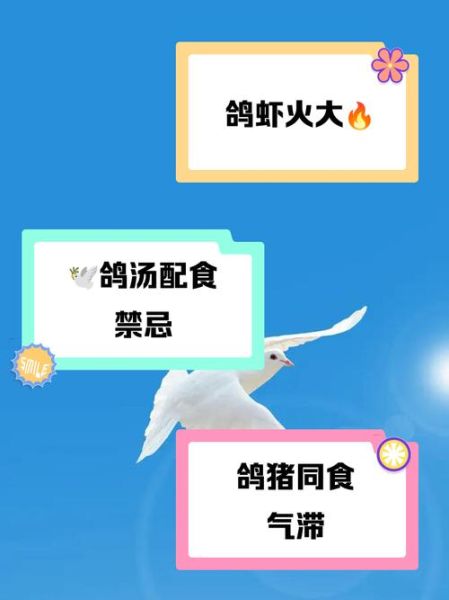 鸽子肉不能和什么一起吃_鸽子肉相克食物表-第1张图片-山城妙识 鸽子肉不能和什么一起吃_鸽子肉相克食物表-第1张图片-山城妙识