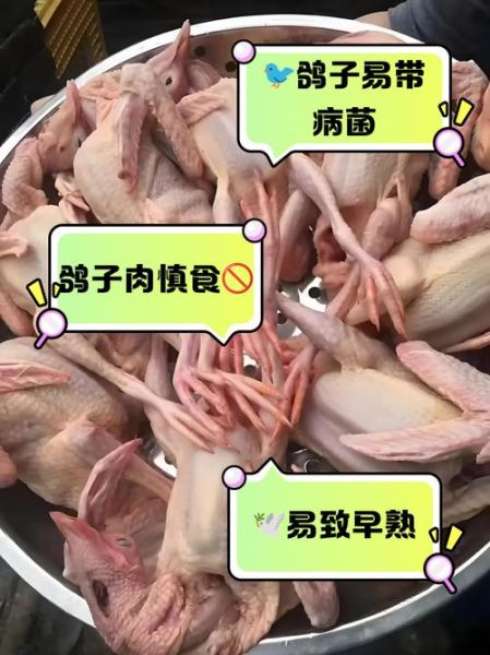 鸽子肉不能和什么一起吃_鸽子肉相克食物表-第3张图片-山城妙识 鸽子肉不能和什么一起吃_鸽子肉相克食物表-第3张图片-山城妙识