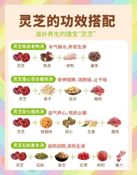 灵芝泡开水喝最佳方法_灵芝泡水温度多少合适-第2张图片-山城妙识