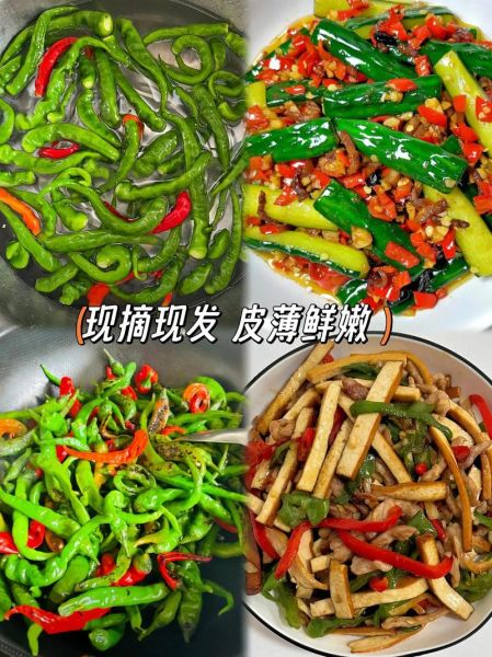 枣庄薄皮辣椒哪里买正宗_枣庄薄皮辣椒怎么做好吃-第3张图片-山城妙识 枣庄薄皮辣椒哪里买正宗_枣庄薄皮辣椒怎么做好吃-第3张图片-山城妙识