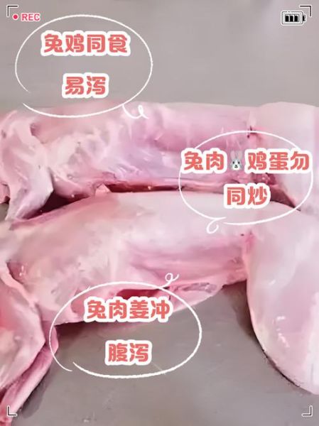 兔肉不能和什么同食_兔肉相克食物有哪些-第1张图片-山城妙识 兔肉不能和什么同食_兔肉相克食物有哪些-第1张图片-山城妙识