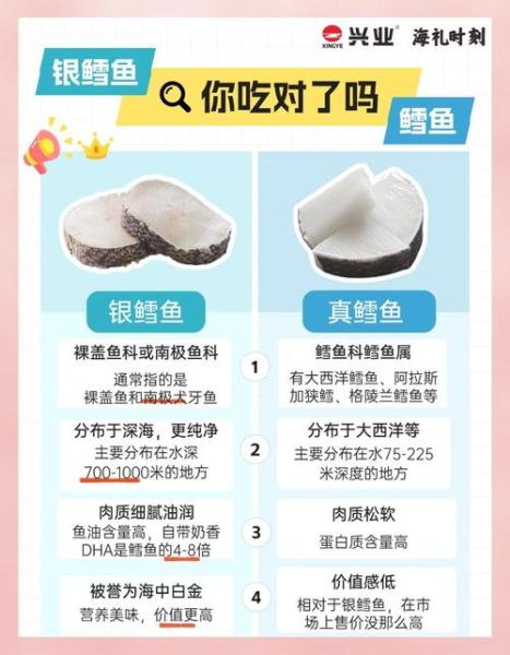 鳕鱼与油鱼的区别_如何分辨真假鳕鱼-第1张图片-山城妙识