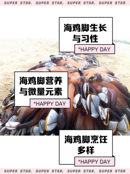 海鸡脚是什么_海鸡脚怎么吃-第1张图片-山城妙识 海鸡脚是什么_海鸡脚怎么吃-第1张图片-山城妙识