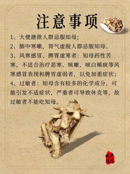 知母的功效与作用_知母能治什么病-第3张图片-山城妙识
