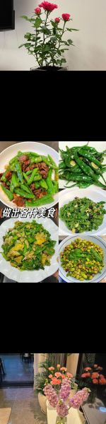 辣椒什么时候传入中国_原产地是哪里-第2张图片-山城妙识