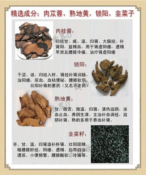 壮阳中药排行榜10强_哪个效果最好-第1张图片-山城妙识 壮阳中药排行榜10强_哪个效果最好-第1张图片-山城妙识