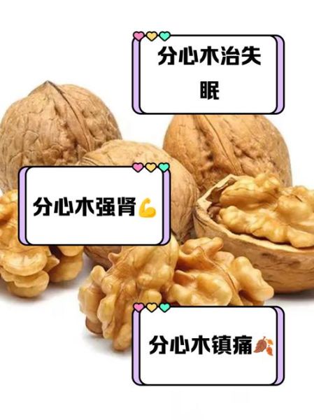 核桃皮的功效与作用_核桃皮泡水喝的正确方法-第1张图片-山城妙识 核桃皮的功效与作用_核桃皮泡水喝的正确方法-第1张图片-山城妙识