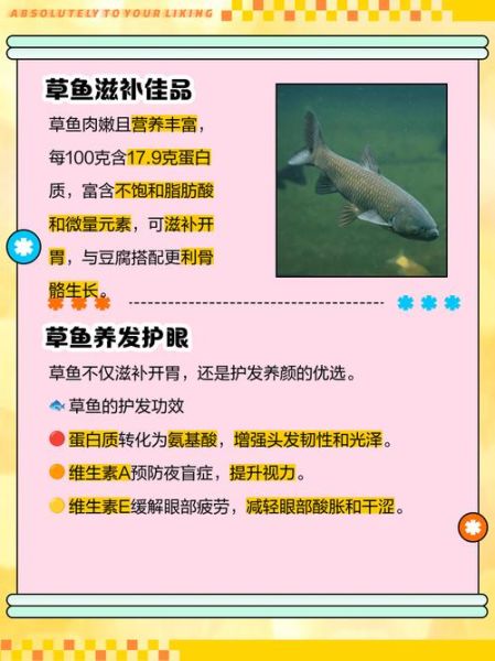 草鱼的营养价值_草鱼的功效与作用-第2张图片-山城妙识 草鱼的营养价值_草鱼的功效与作用-第2张图片-山城妙识