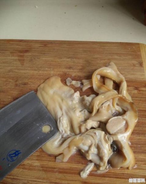 河蚌怎么清洗_河蚌清理内脏图解-第3张图片-山城妙识