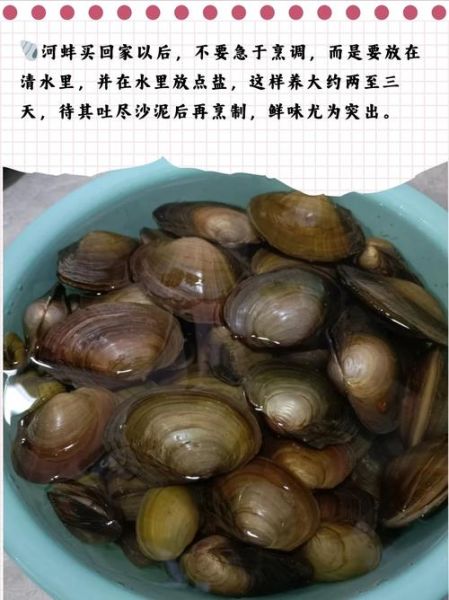 河蚌怎么清洗_河蚌清理内脏图解-第2张图片-山城妙识