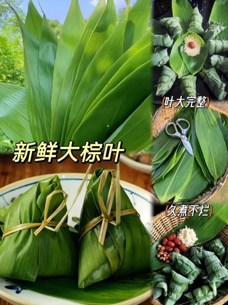 箬叶图片怎么拍_箬叶高清图哪里找-第3张图片-山城妙识 箬叶图片怎么拍_箬叶高清图哪里找-第3张图片-山城妙识