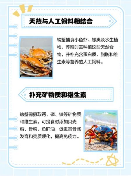 螃蟹喂养吃什么东西_螃蟹饲料选择-第3张图片-山城妙识 螃蟹喂养吃什么东西_螃蟹饲料选择-第3张图片-山城妙识
