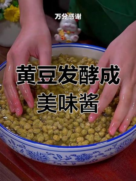 如何自制黄豆酱_黄豆酱发酵失败怎么办-第2张图片-山城妙识