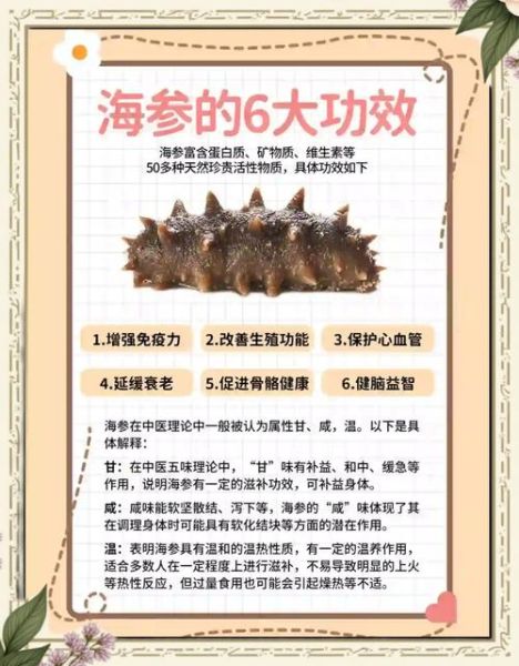 海参怎么吃最营养_海参的功效有哪些-第1张图片-山城妙识