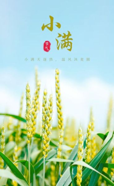 小满是什么季节_小满节气有哪些农事活动-第2张图片-山城妙识