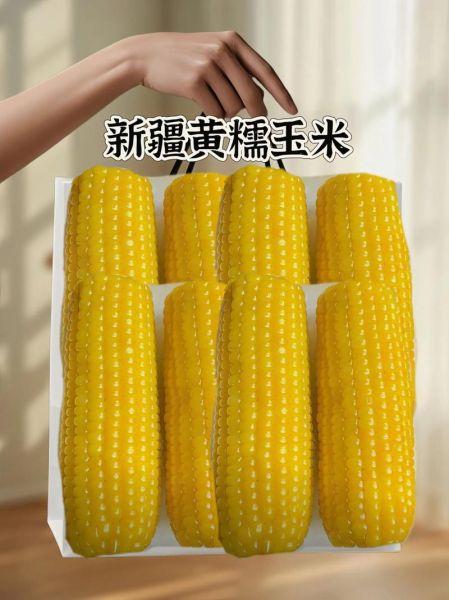 糯玉米哪个品种最好吃_排名第一的糯玉米品种-第2张图片-山城妙识 糯玉米哪个品种最好吃_排名第一的糯玉米品种-第2张图片-山城妙识