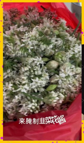 韭菜花怎么做才好吃_韭菜花腌制需要哪些配料-第1张图片-山城妙识