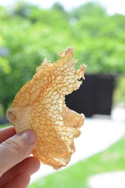 竹毛肚的功效与作用_竹毛肚怎么吃最好-第1张图片-山城妙识