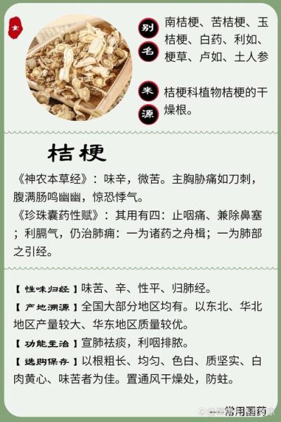 桔梗的功效与作用_桔梗怎么泡水喝-第3张图片-山城妙识