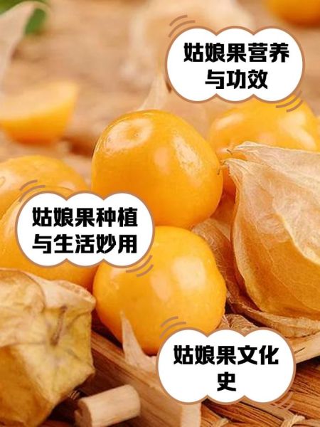 姑鸟果孕妇能吃吗_姑鸟果的功效与作用-第3张图片-山城妙识