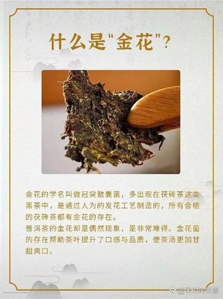 花卷茶有金花吗_金花与花卷茶区别-第1张图片-山城妙识 花卷茶有金花吗_金花与花卷茶区别-第1张图片-山城妙识