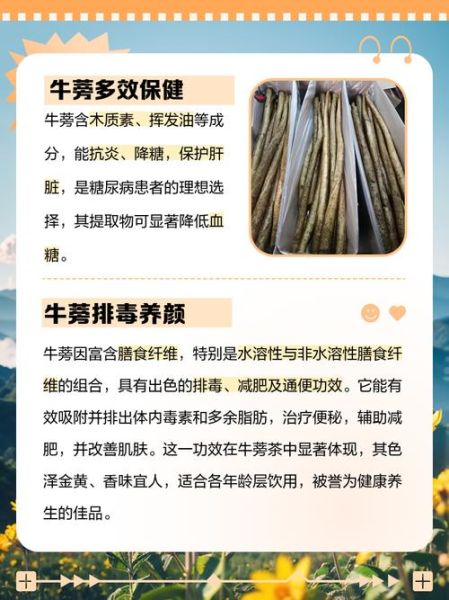 牛蒡是什么_牛蒡的功效与作用-第2张图片-山城妙识 牛蒡是什么_牛蒡的功效与作用-第2张图片-山城妙识