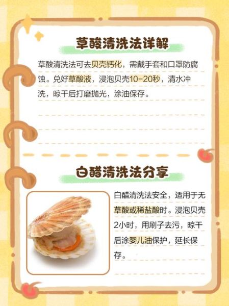 贝壳怎么清洗_贝壳怎么炒好吃-第2张图片-山城妙识