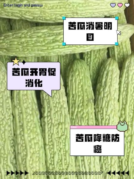 生吃苦瓜能减肥吗_生吃苦瓜的功效与禁忌-第2张图片-山城妙识 生吃苦瓜能减肥吗_生吃苦瓜的功效与禁忌-第2张图片-山城妙识