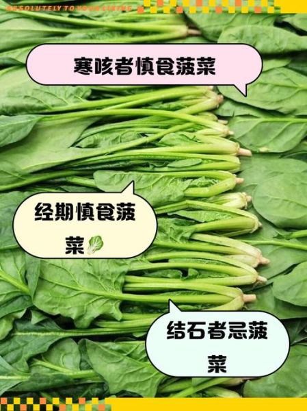 菠菜不能和什么一起吃会过敏_菠菜过敏症状有哪些-第3张图片-山城妙识