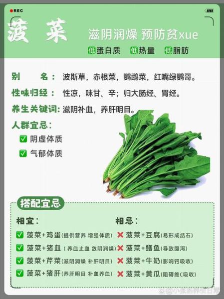 菠菜不能和什么一起吃会过敏_菠菜过敏症状有哪些-第2张图片-山城妙识