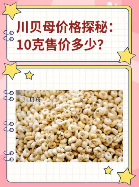 川贝母多少钱一克_川贝母价格为什么差别大-第1张图片-山城妙识 川贝母多少钱一克_川贝母价格为什么差别大-第1张图片-山城妙识