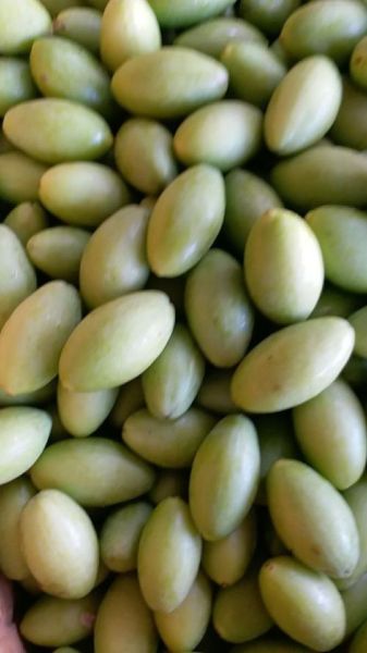 橄榄图片大全_橄榄有哪些品种-第1张图片-山城妙识