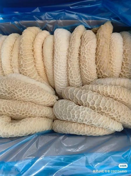 哪种牛肚最贵_为什么金钱肚价格最高-第3张图片-山城妙识 哪种牛肚最贵_为什么金钱肚价格最高-第3张图片-山城妙识