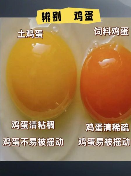 土鸡蛋营养价值及功效_土鸡蛋和普通鸡蛋的区别-第1张图片-山城妙识